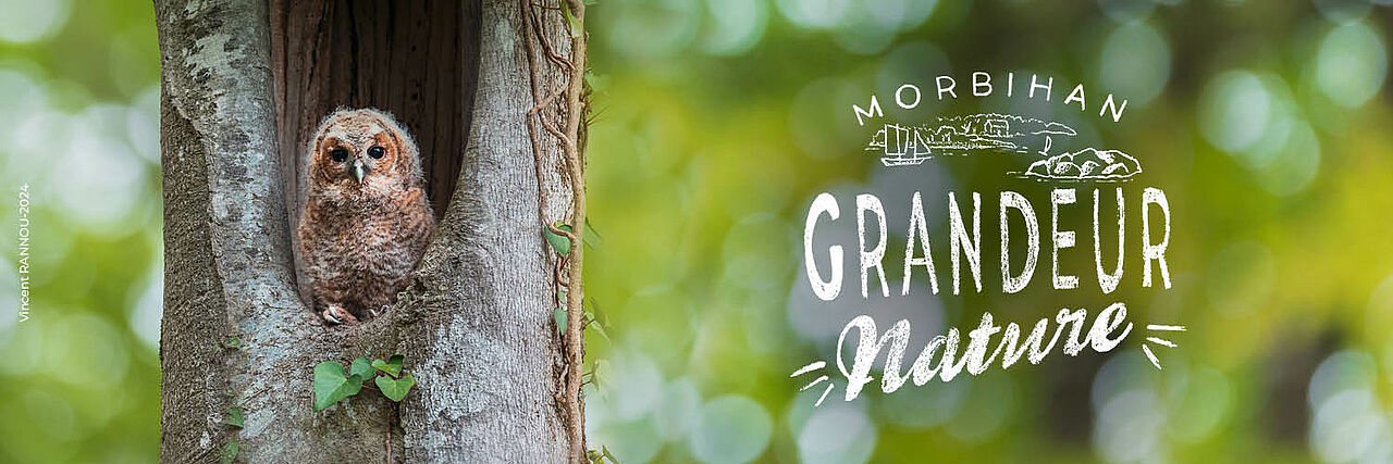 Morbihan Grandeur Nature - Ville de Muzillac